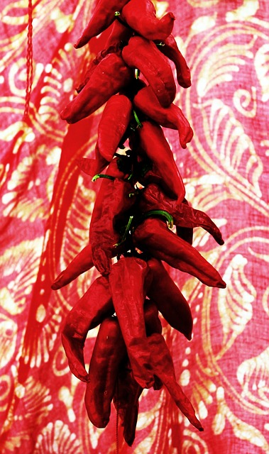 Discovering The Chile King – Kathryne Lim